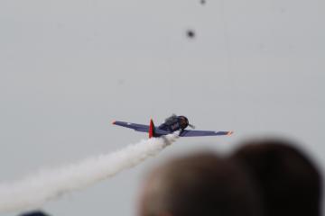 dreamies.de - Neue Bilder in den Galerien